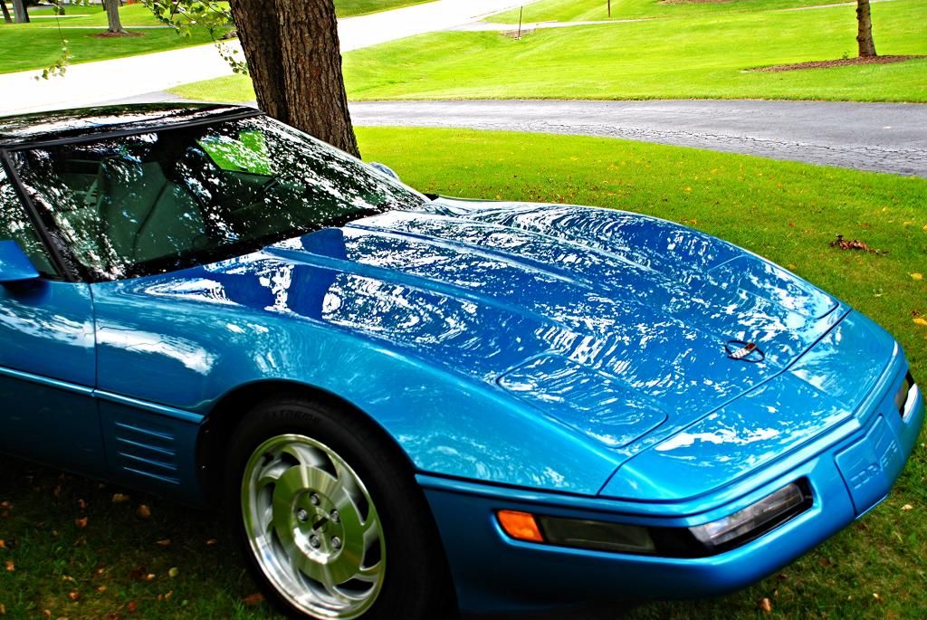 NoviStretch Presents Detailed Corvettes of the Week - CorvetteForum